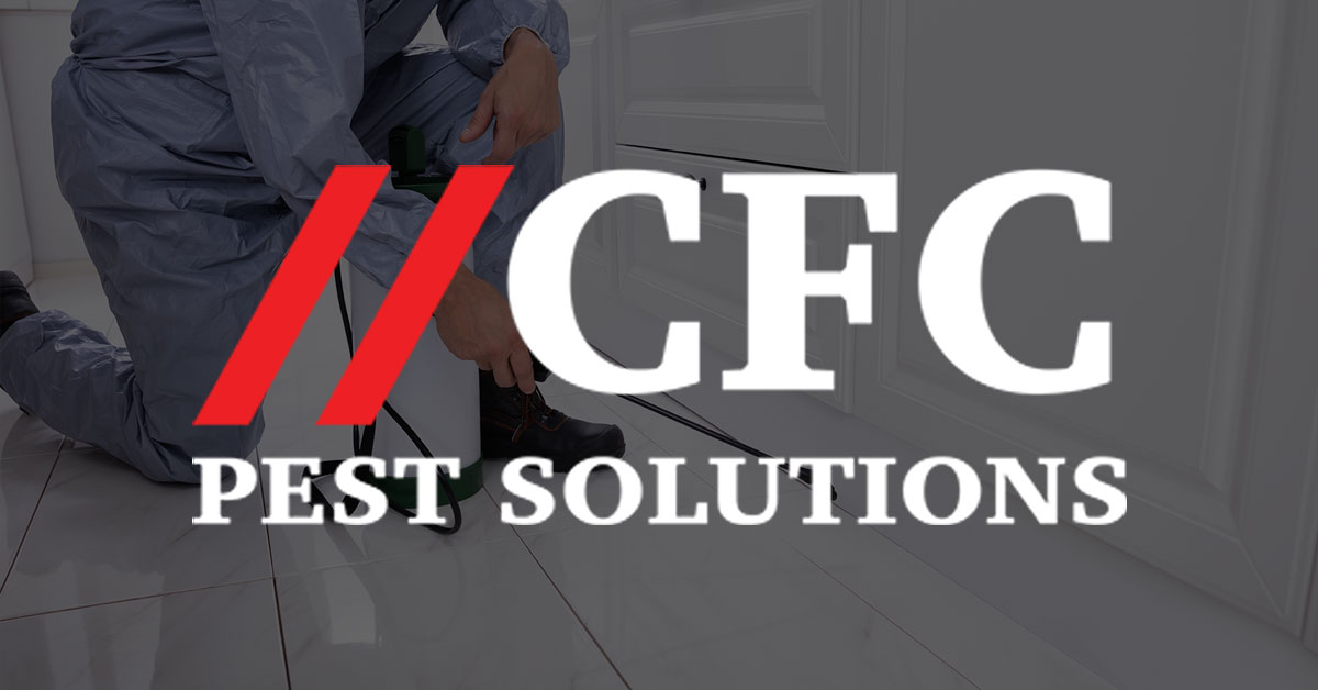 Pest Control in Dauphin County | CFC Pest Solutions